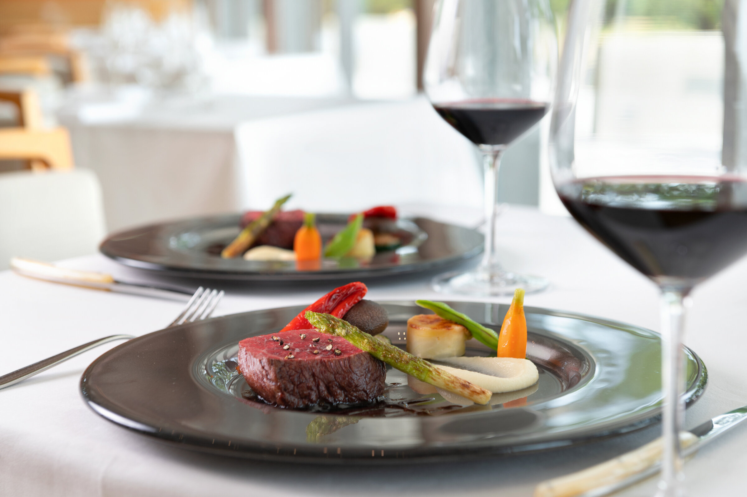 Restaurant / Cafe | Benesse House | Stay | Benesse Art Site Naoshima